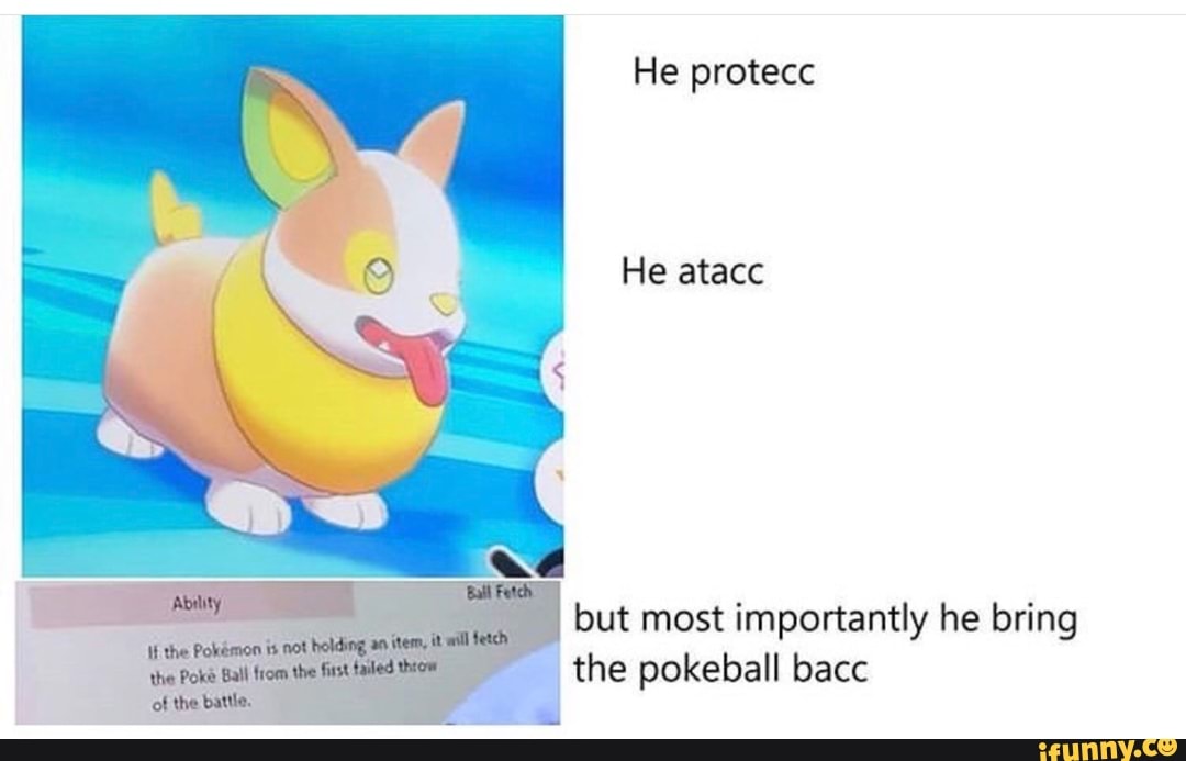 Protecc He atacc A but most importantly he bring - the pokeball bacc ...