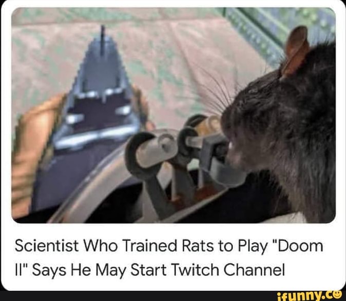 Scientist Who Trained Rats to Play "Doom II" Says He May Start Twitch ...