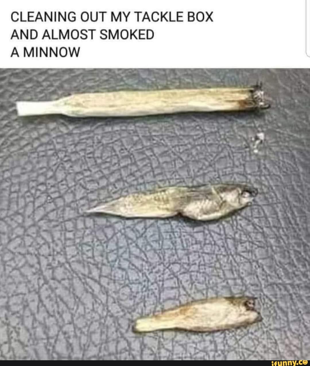 Minnow memes. Best Collection of funny Minnow pictures on iFunny