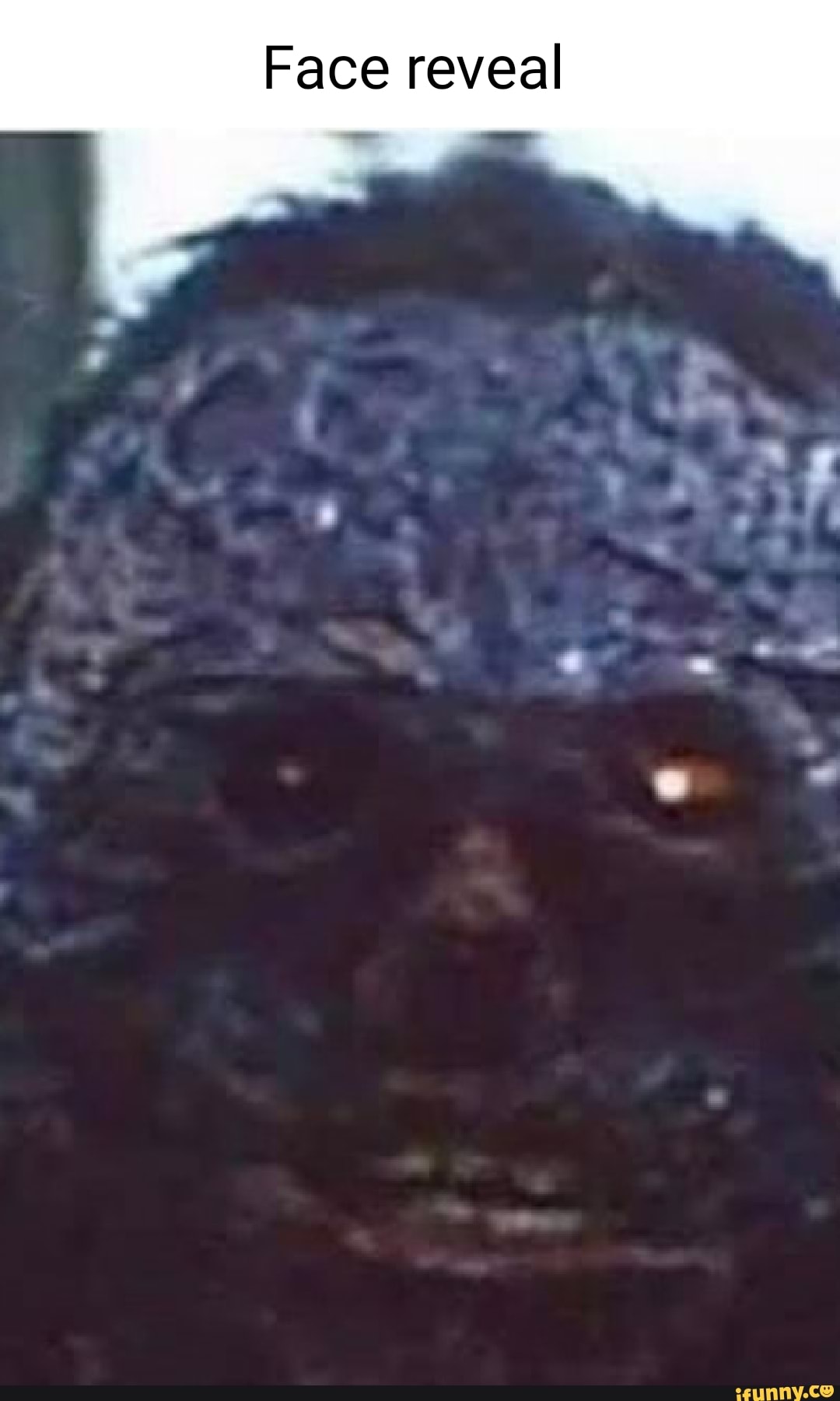 Howtobasic Face Reveal