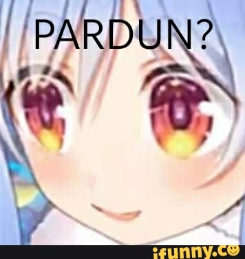 Pardun memes. Best Collection of funny Pardun pictures on iFunny