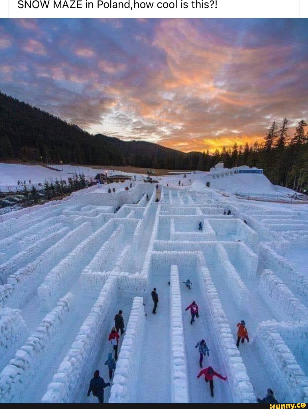 Video memes MP6egMV2A by arlenesullivan: 6 comments - iFunny