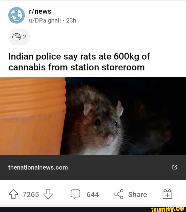 Storeroom memes. Best Collection of funny Storeroom pictures on iFunny