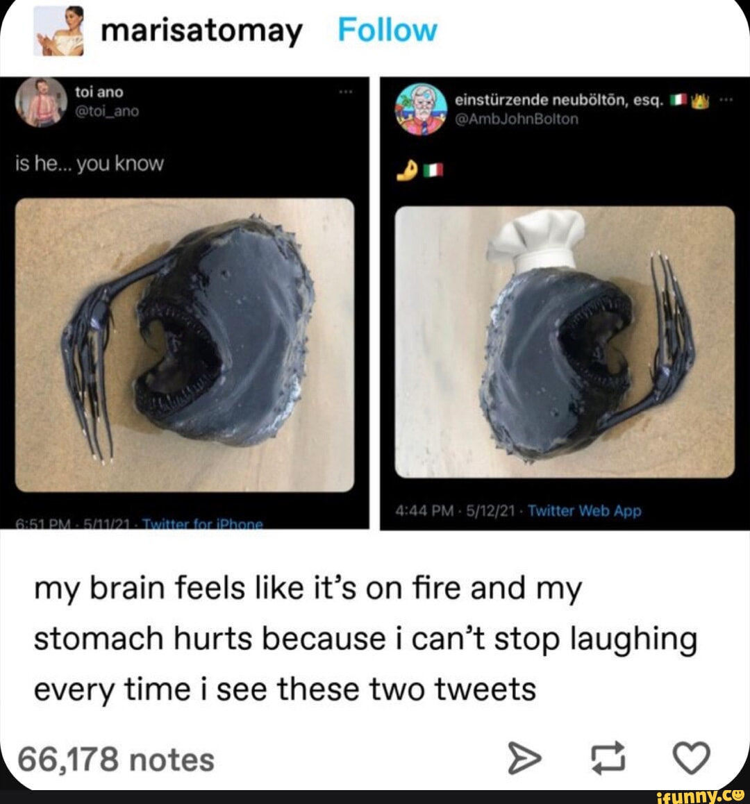 Le You donit sniff petrol from'atcan "Same species" - iFunny