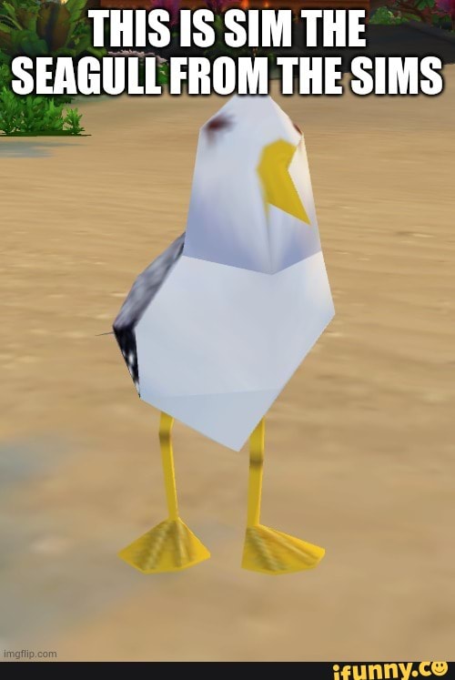 THIS IS SIM THE SEAGULL FROM THE SIMS - iFunny