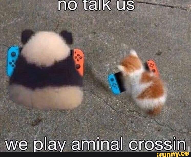 Crossin memes. Best Collection of funny Crossin pictures on iFunny