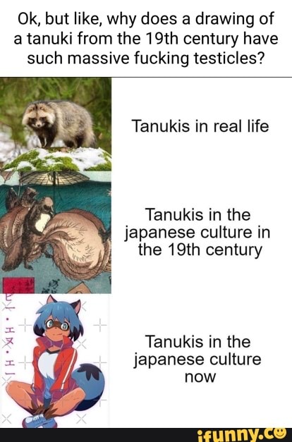 Tanukis memes. Best Collection of funny Tanukis pictures on iFunny
