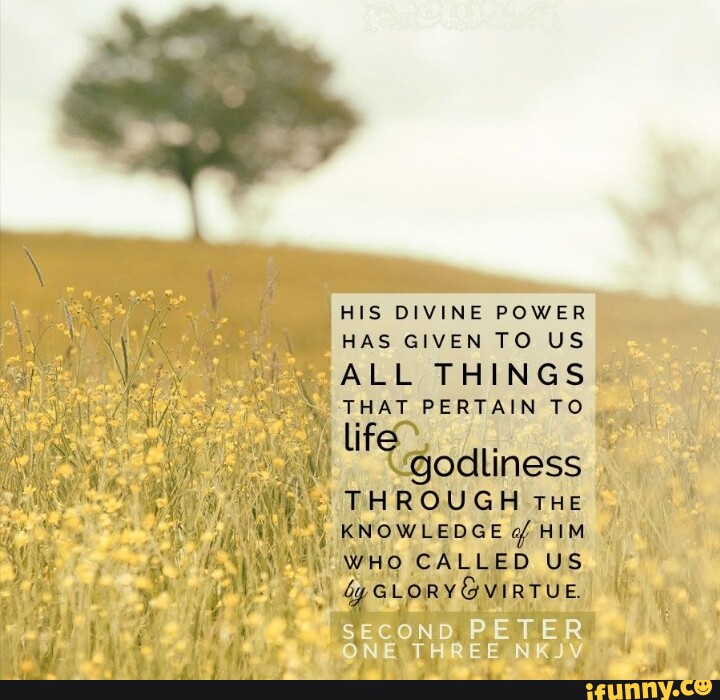 HIS DIVINE POWER HAS GIVEN TO US WHO CALLED US PETER RE ALL THINGS THAT ...