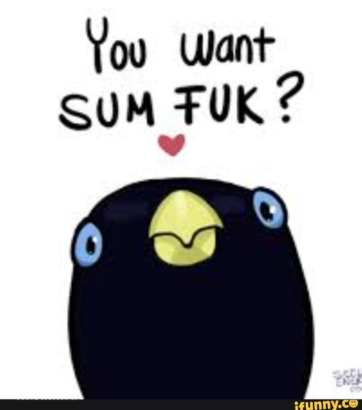 You Want SUM FUK ? - iFunny