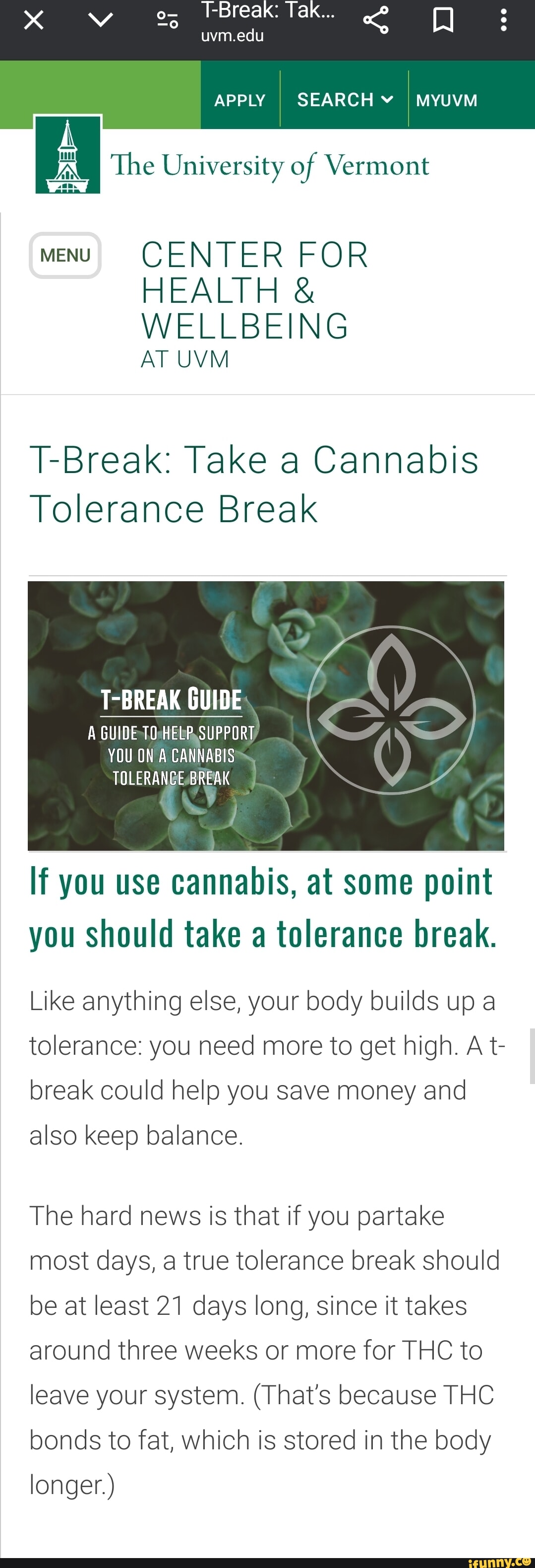 Search memes. Best Collection of funny Search pictures on iFunny