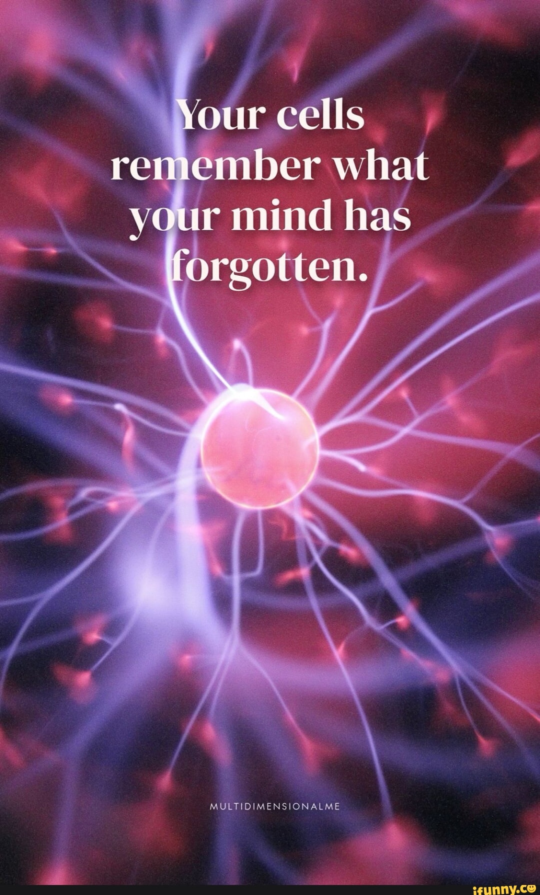 Multidimensional memes. Best Collection of funny Multidimensional ...