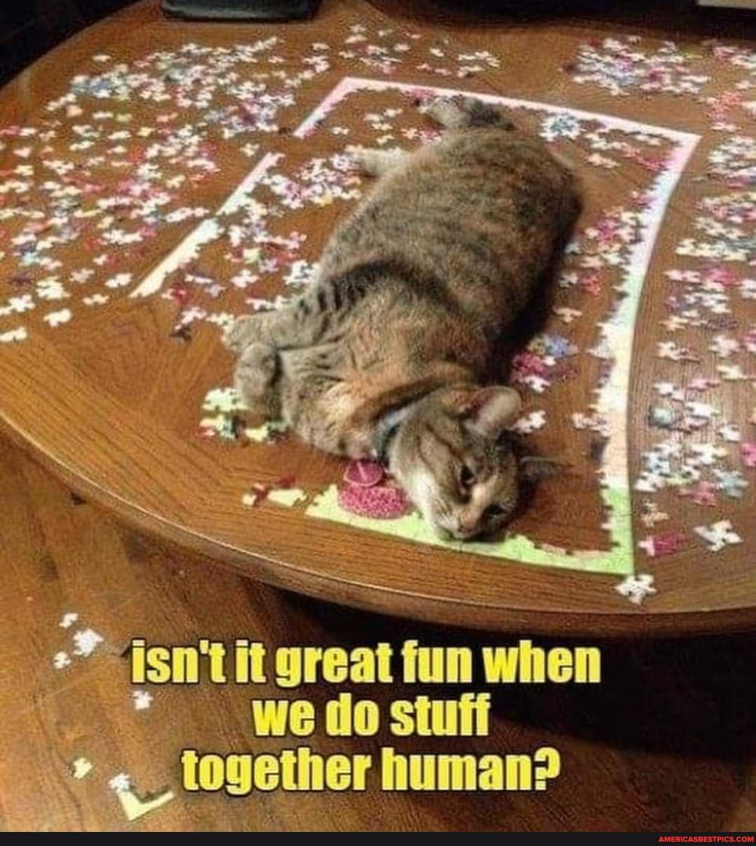 SS it great fun when _we do stuff together human? - America’s best pics ...