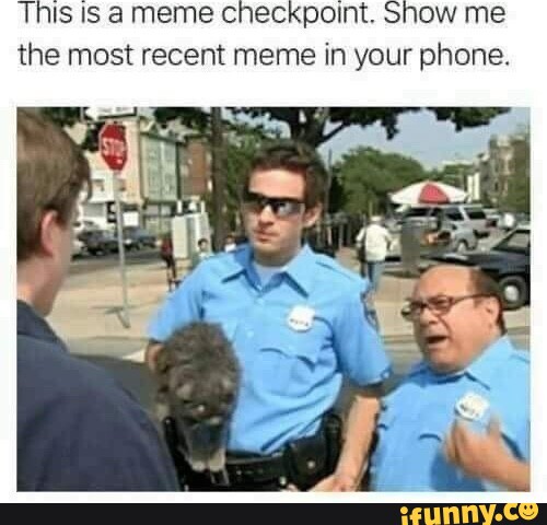'This IS MEME checkpoint. show me the most recent meme in your phone ...