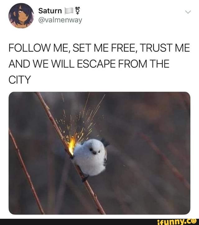 FOLLOW ME, SET ME FREE, TRUST ME AND WE WILL ESCAPE FROM THE CITY - iFunny
