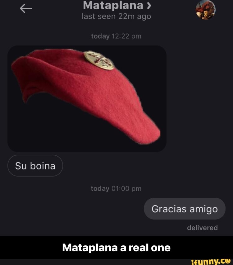 Boina memes. Best Collection of funny Boina pictures on iFunny