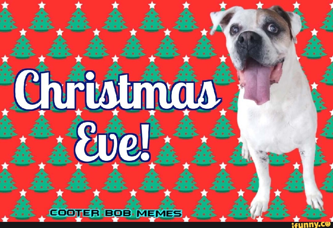 OB. MEMES" COGTERI - iFunny