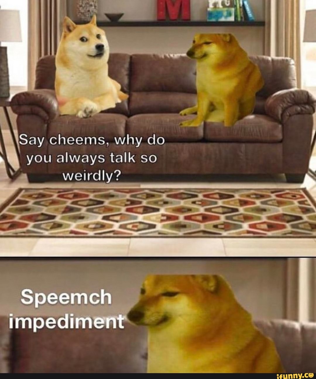 Ay cheems, why do you always talk so - iFunny