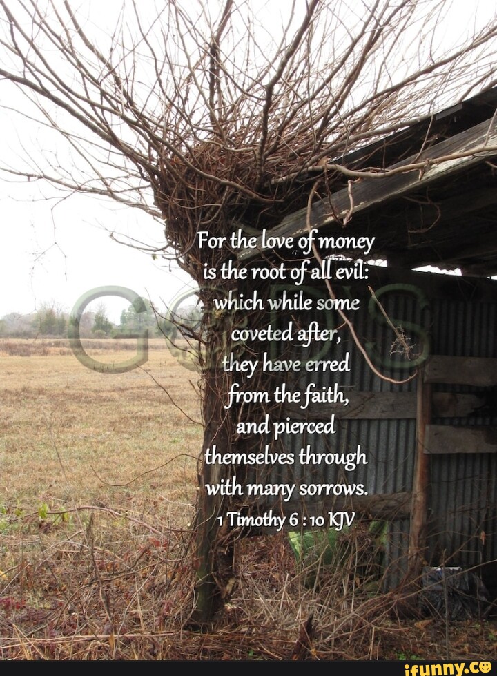 Owi memes. Best Collection of funny Owi pictures on iFunny