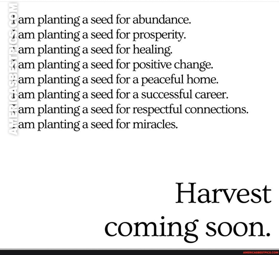 :am planting a seed for abundance. am planting a seed for prosperity ...