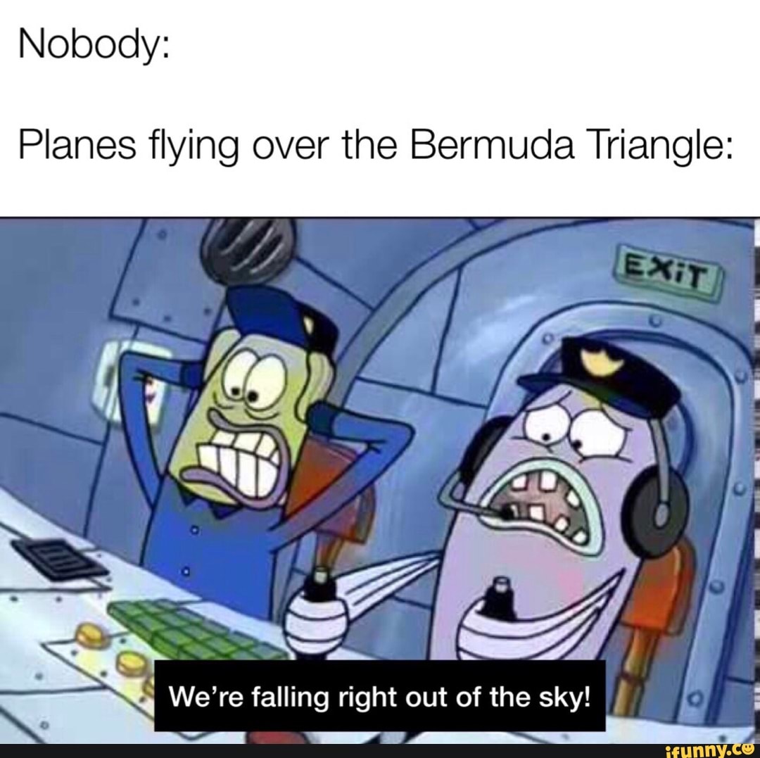 Nobody: Planes flying over the Bermuda Triangle: - iFunny