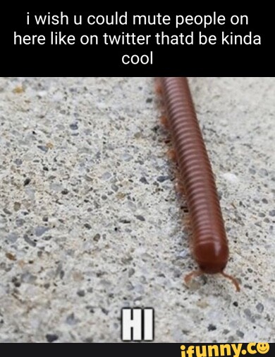 I wish u could mute people on here like on twitter thatd be kinda cool ...