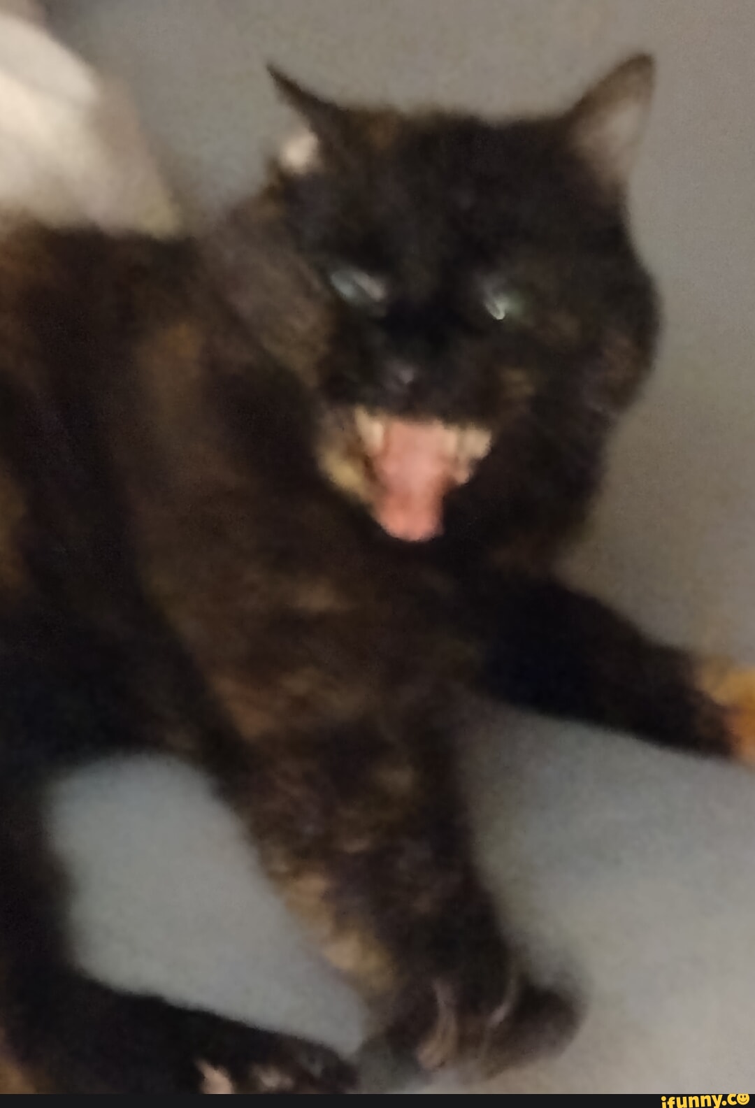 Yawning memes. Best Collection of funny Yawning pictures on iFunny