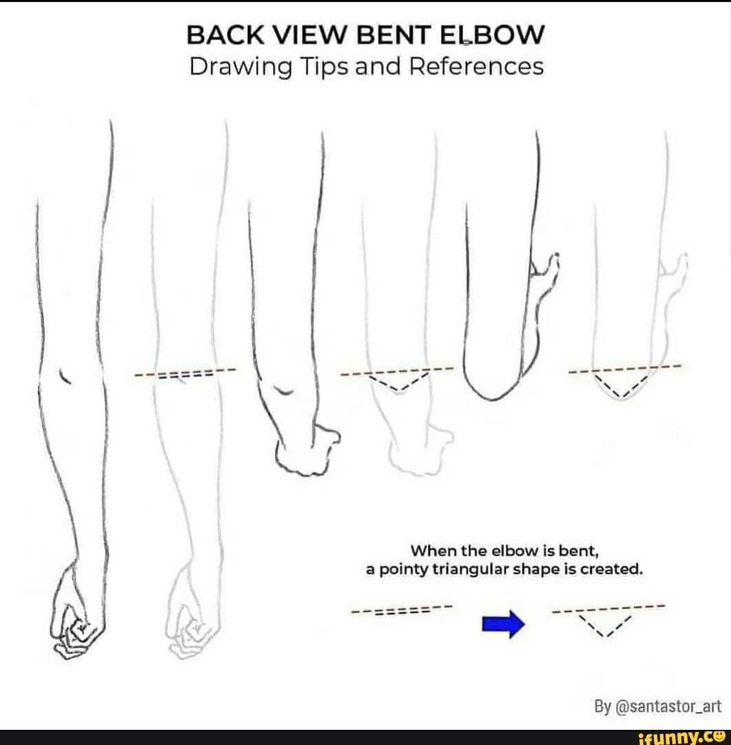 BACK VIEW BENT ELBOW Drawing Tips and References When the elbow is bent ...