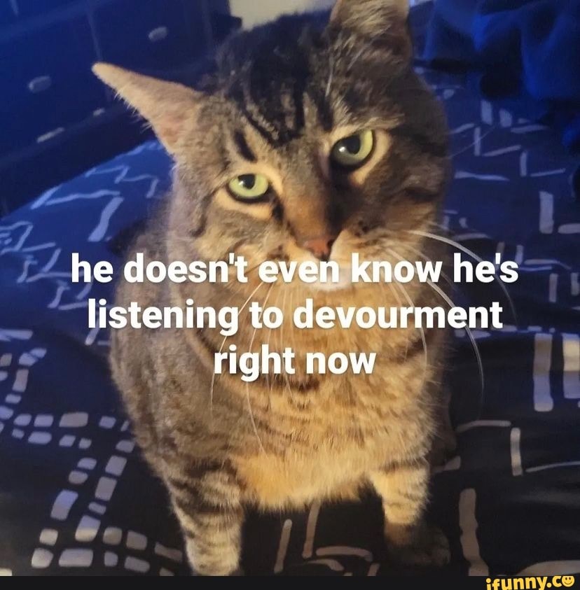 Devourment memes. Best Collection of funny Devourment pictures on iFunny