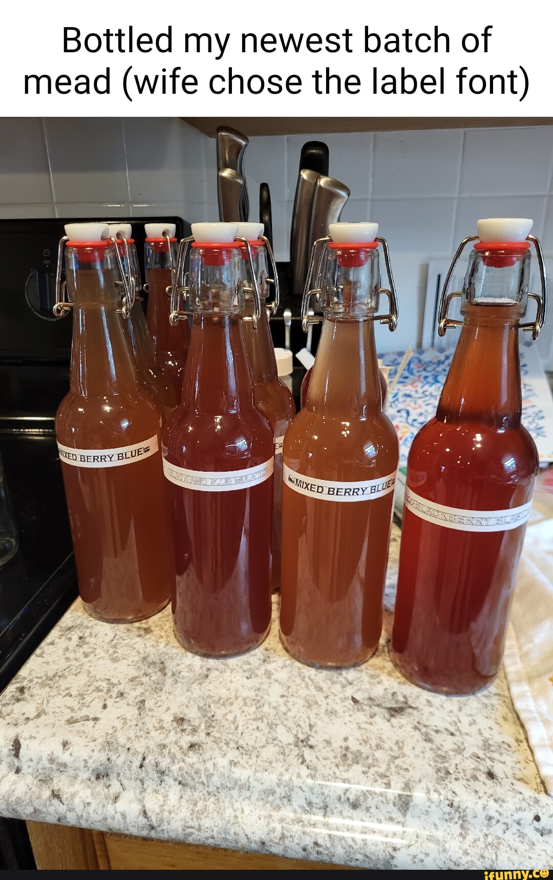 Bottled my newest batch of mead (wife chose the label font) - iFunny