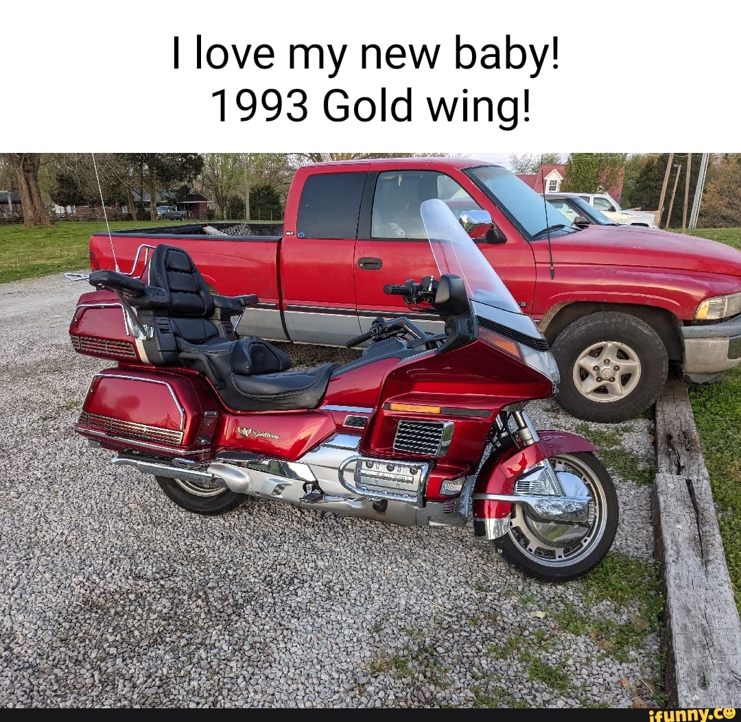 Goldwing memes. Best Collection of funny Goldwing pictures on iFunny