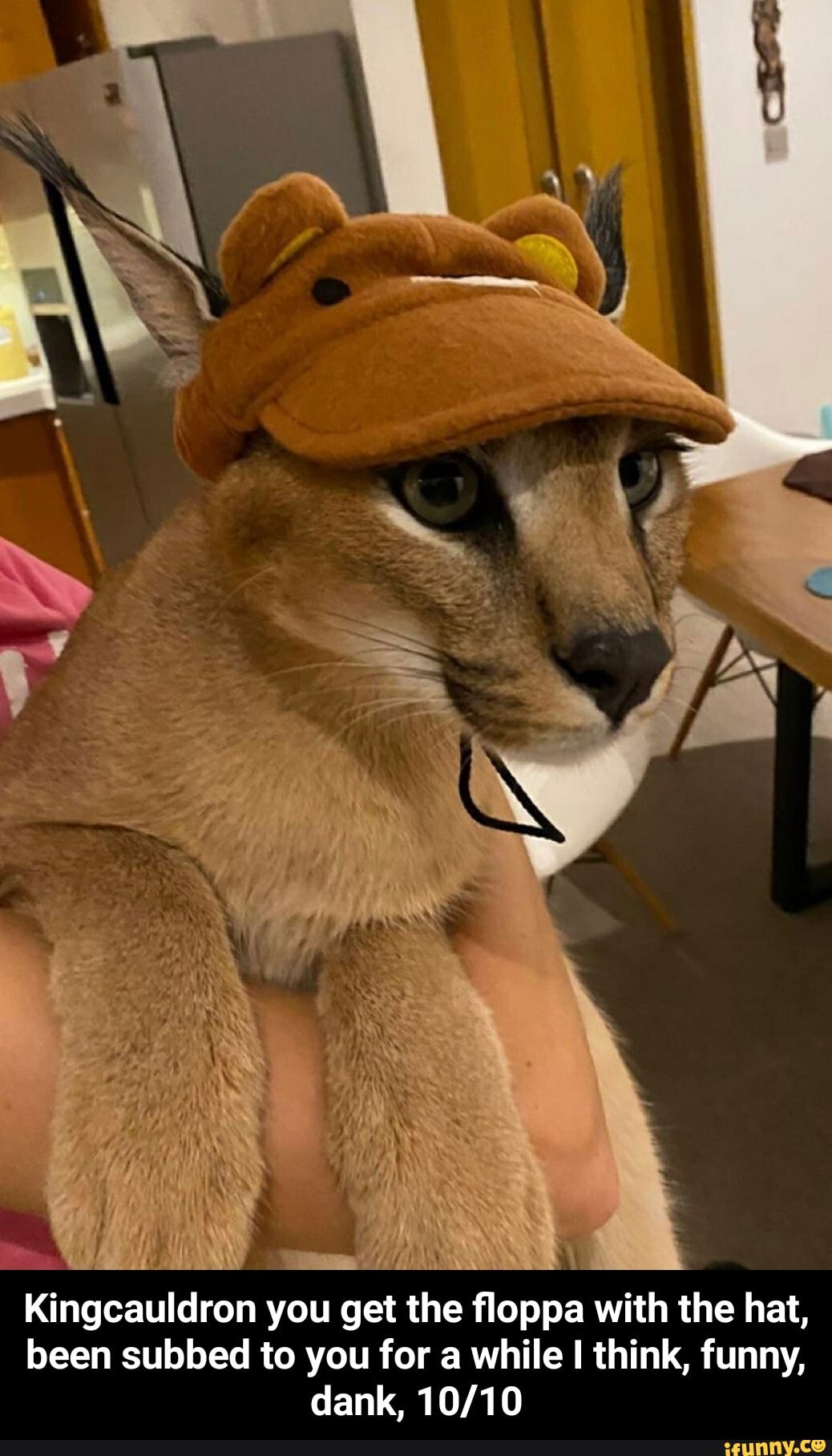 \ys aS Kingcauldron you get the floppa with the hat, been subbed to you ...