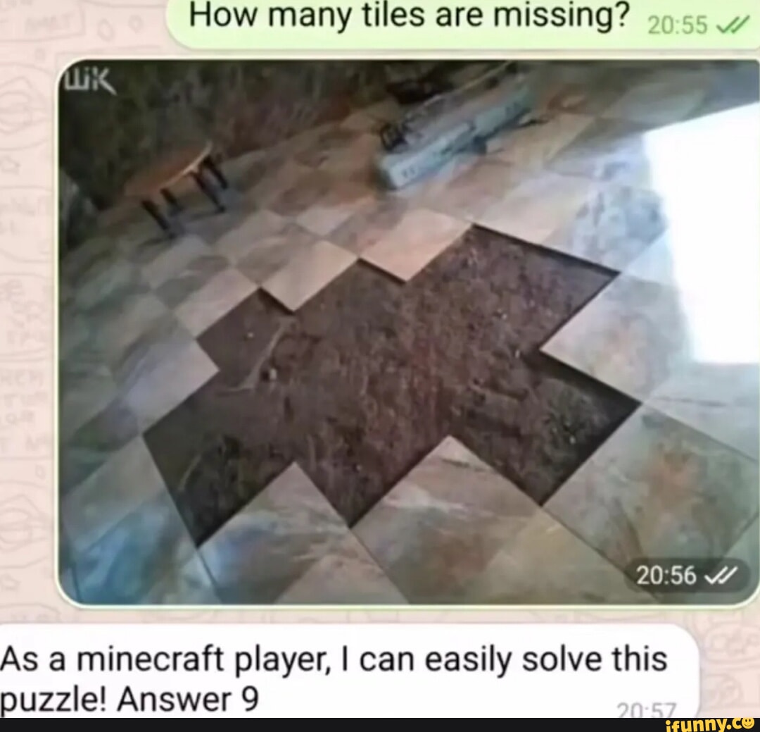 How many tiles are missing? ..w WW As a minecraft player, I can easily ...