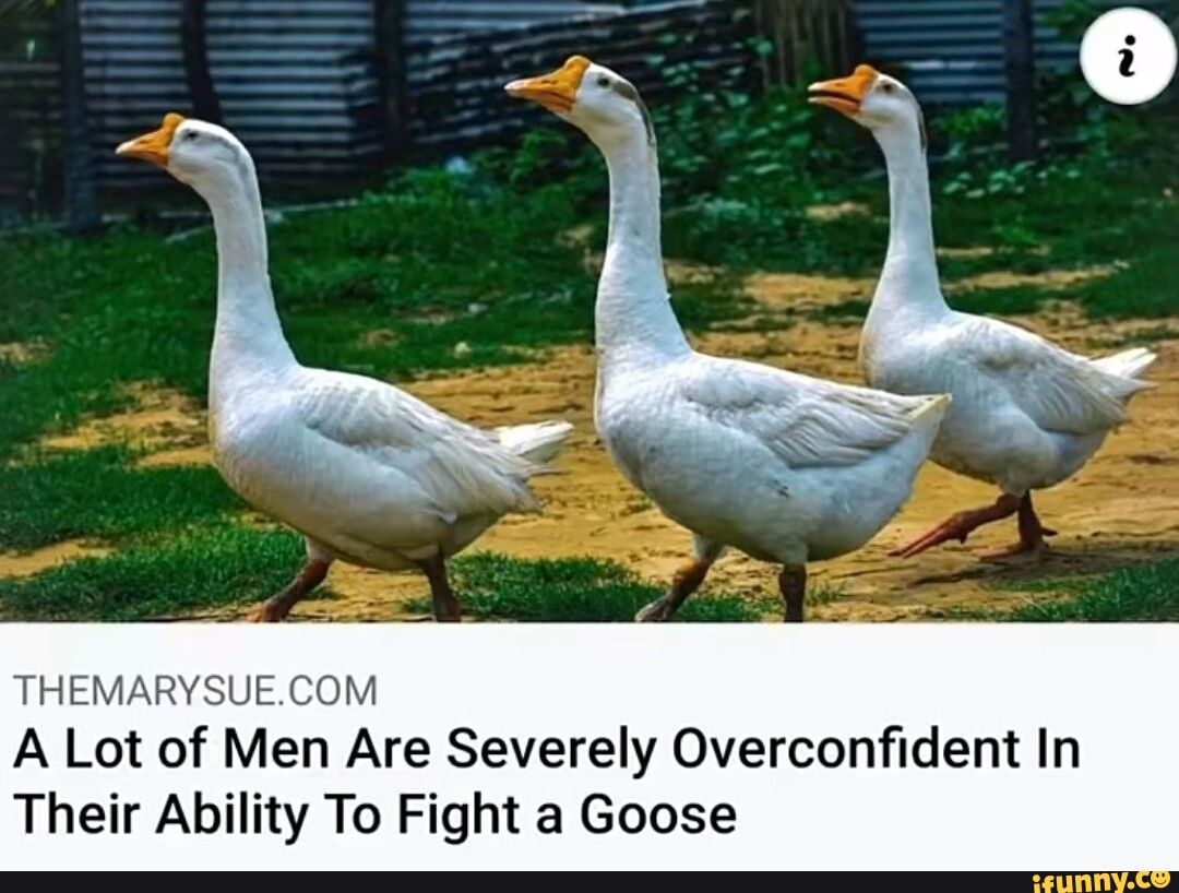 THEMARYSUE COM A Lot of Men Are Severely Overconfident In Their Ability ...