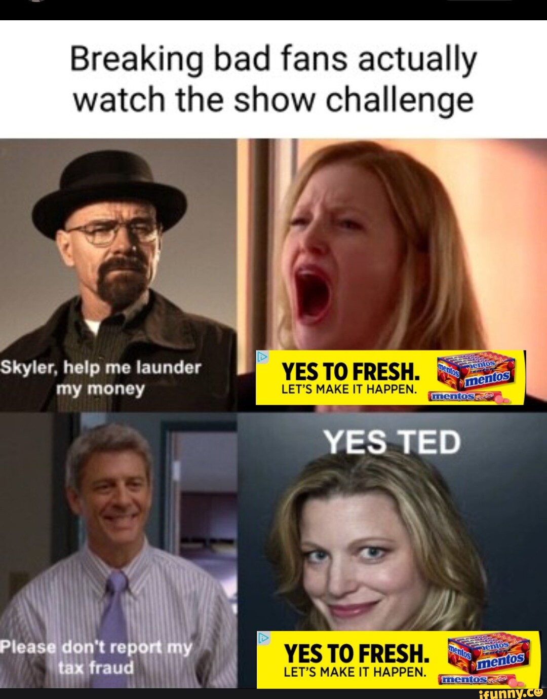 Breaking bad fans actually watch the show challenge Skyler, help me ...