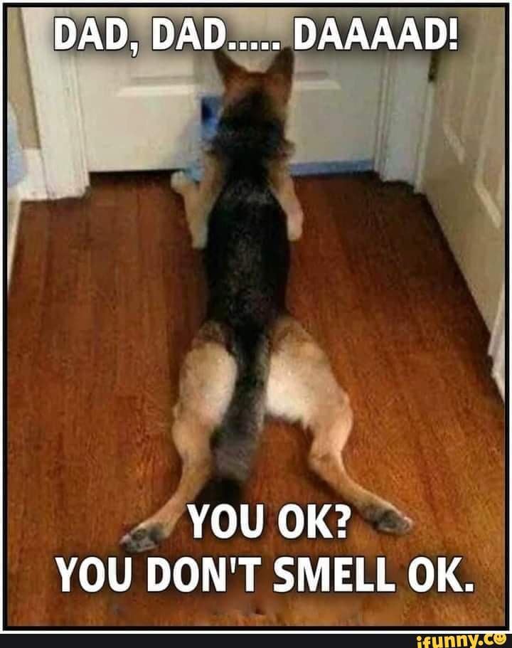Baaaad memes. Best Collection of funny Baaaad pictures on iFunny