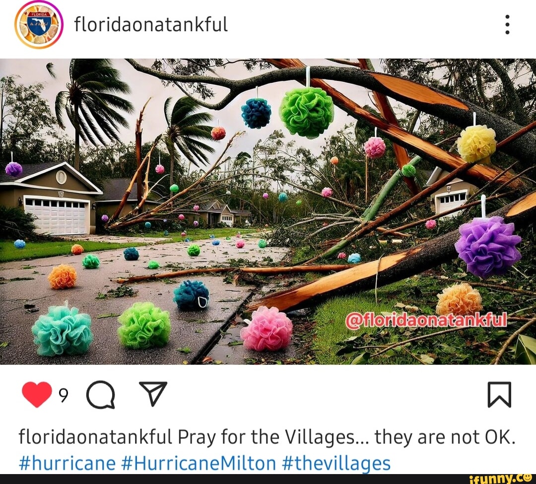 Loofah memes. Best Collection of funny Loofah pictures on iFunny