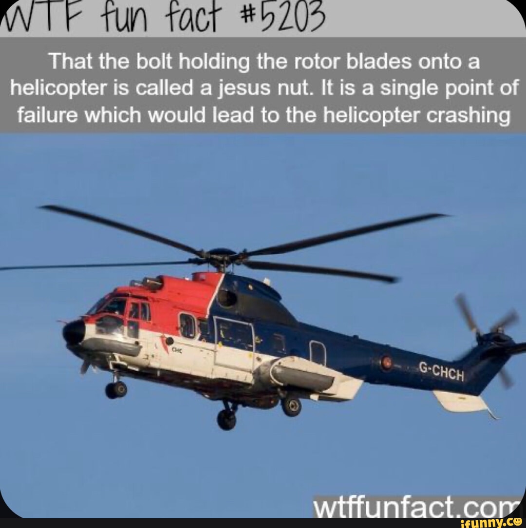 Nut memes. Best Collection of funny Nut pictures on iFunny