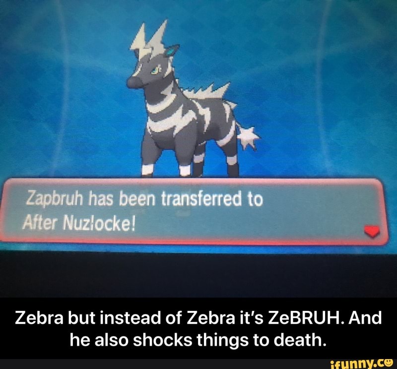 Zebruh memes. Best Collection of funny Zebruh pictures on iFunny