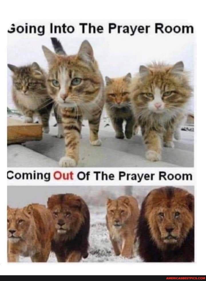 Soing Into The Prayer Room Coming Out Of The Prayer - America’s best ...