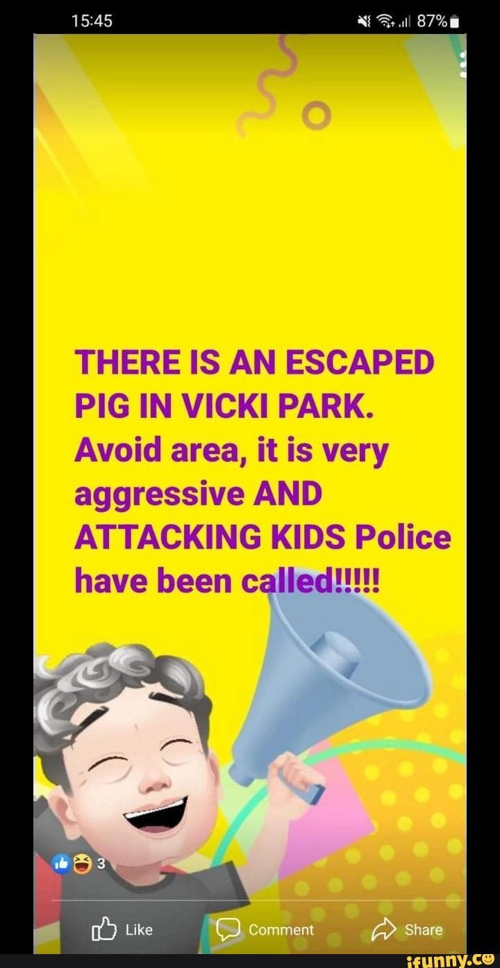 THERE IS AN ESCAPED PIG IN VICKI PARK. Avoid area, it is very ...