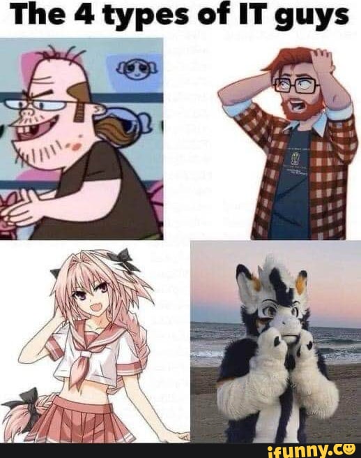 The 4 types of IT guys - iFunny
