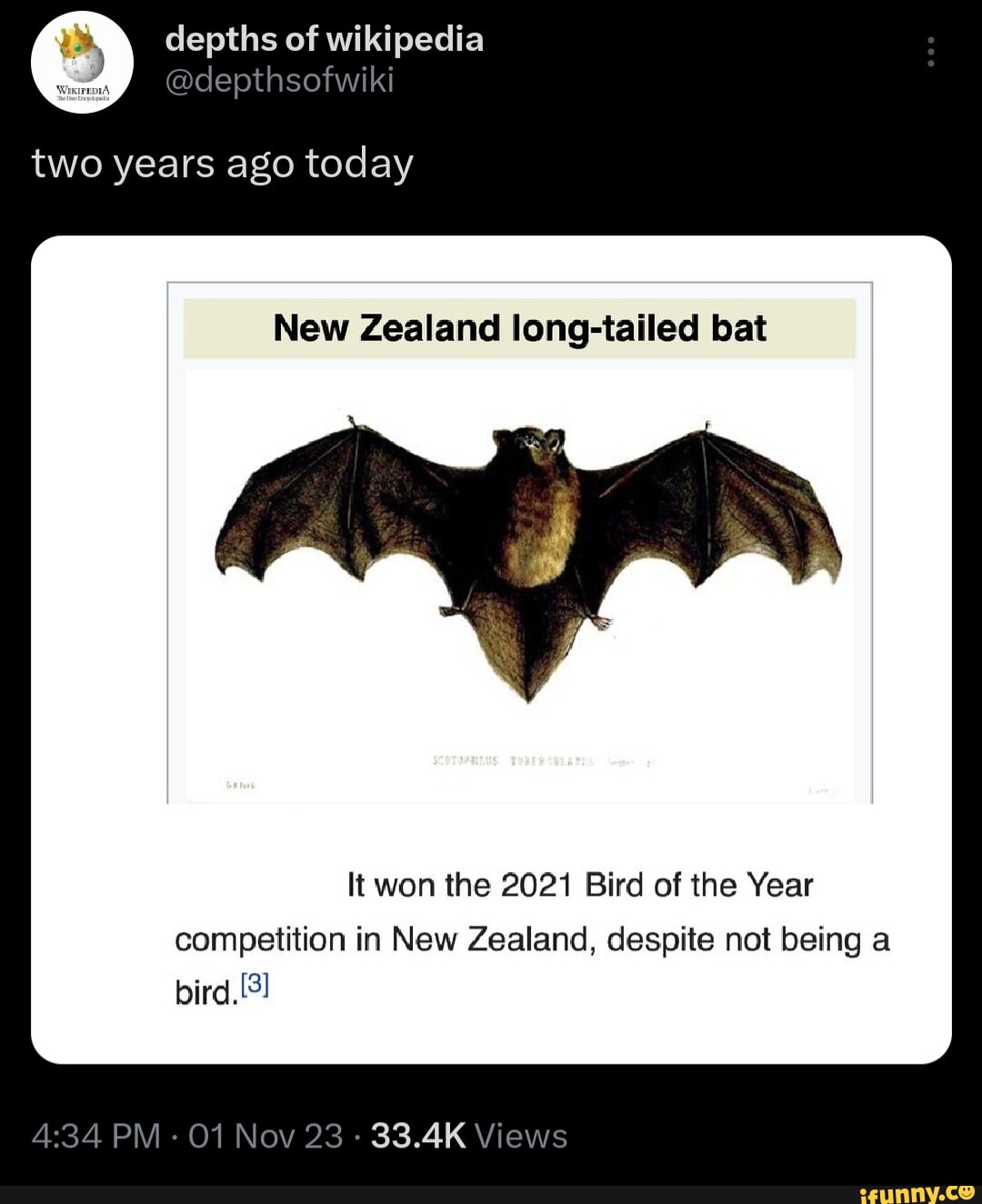 Depths of wikipedia two years ago today New Zealand long-tailed bat It ...