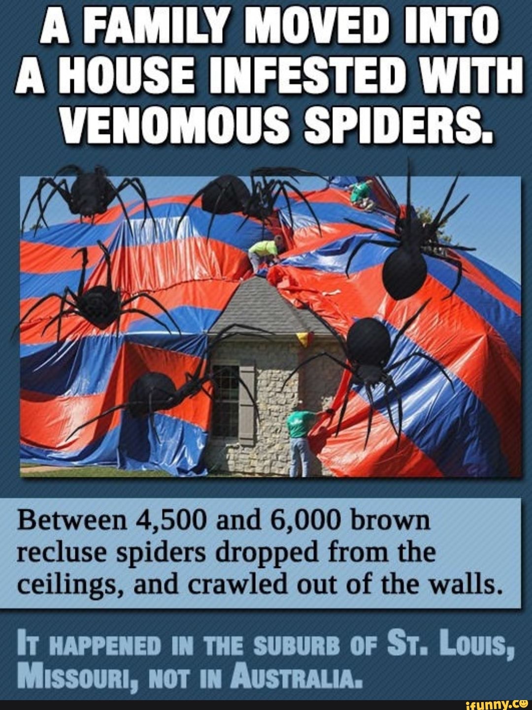 FAMILY MOVED INTO A HOUSE INFESTED WITH VENOMOUS SPIDERS. Between 4,500 ...