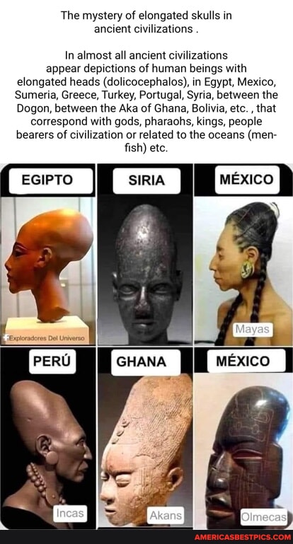 The mystery of elongated skulls in ancient civilizations In almost all ...