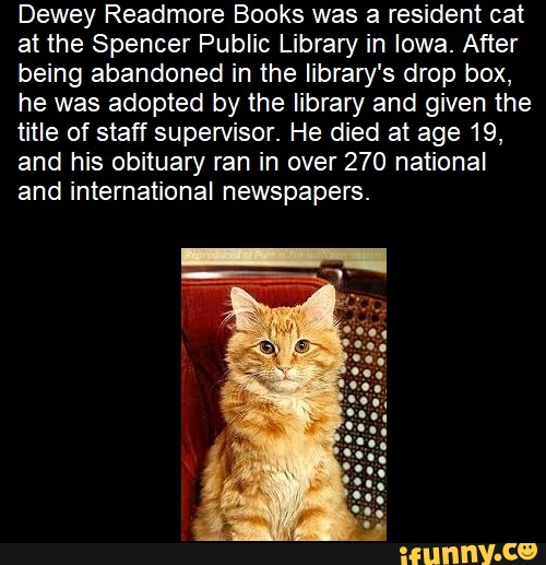 Readmore memes. Best Collection of funny Readmore pictures on iFunny