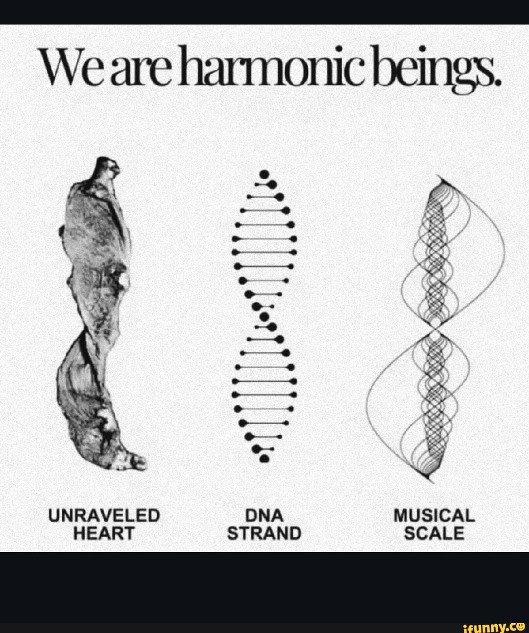 Ry ROSS SRD MUSICAL SCALE e - DNA STRAND Weare harmonic beings ...