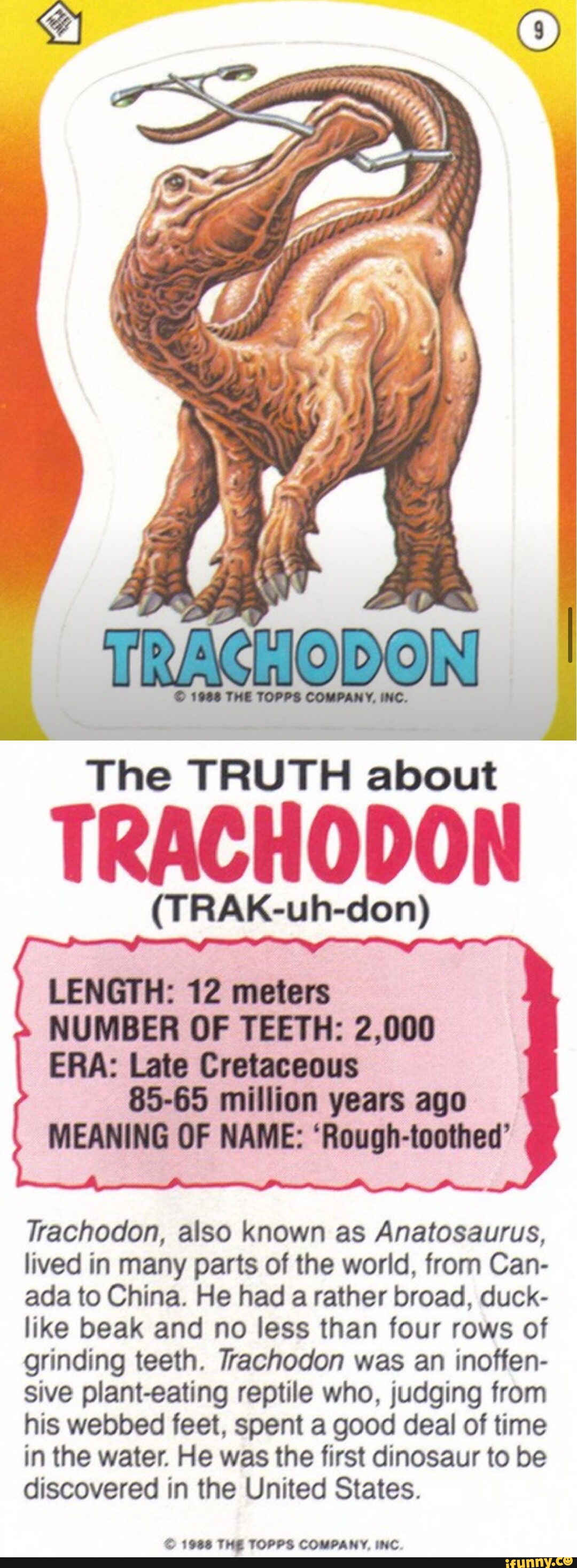 Topps memes. Best Collection of funny Topps pictures on iFunny