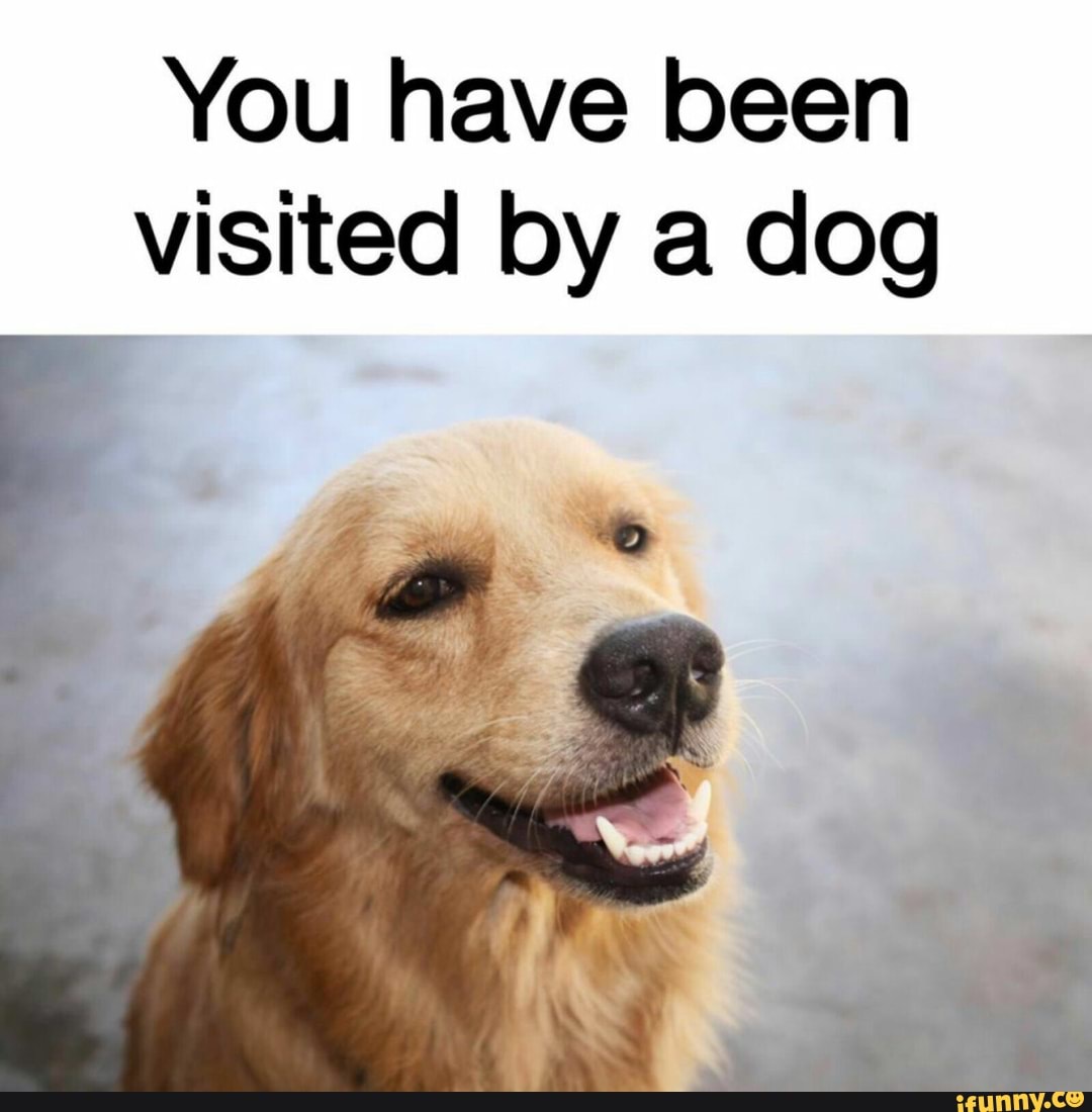 SORTED DATA ARRANGED PRESENTED VISUALLY EXPLAINED ARRANGED WITH A STORY - )