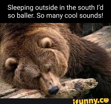 Video memes 6xqJbcDz7 by MeekGaming: 1.1K comments - iFunny