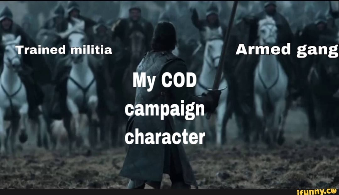 Trained militia Armed gang My COD campaign character - iFunny